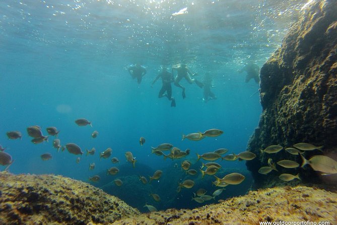 Portofino Kayak Tour Review: A Must-Do Experience - Exploring Portofinos Marine Protected Area