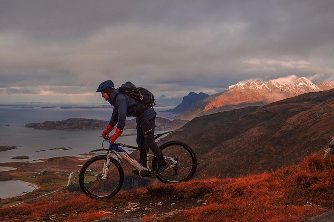 Premium Ebike Rental - Customer Testimonials