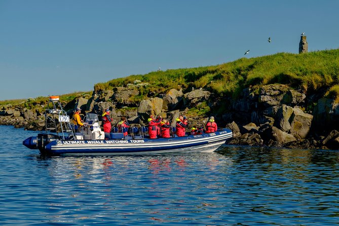 Premium Puffin & Bird Watching Tour Review - Highlight of the Tour