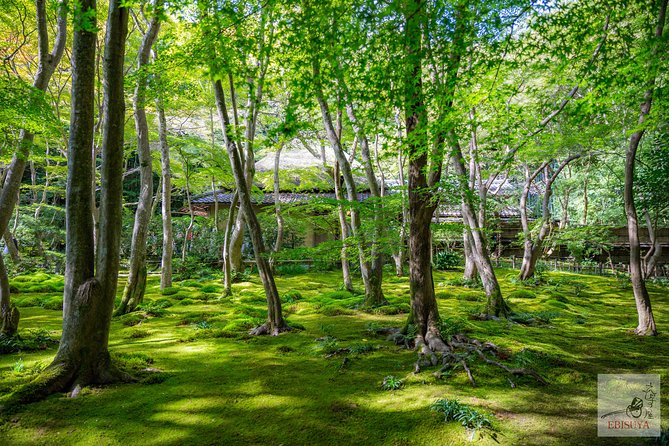 Private 3-hour Kyoto Arashiyama Rickshaw Tour - Exploring Arashiyama by Rickshaw