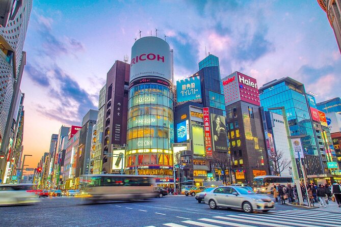 Private Airport Transfer Tokyo City to Haneda Airport HND - Contact and Support