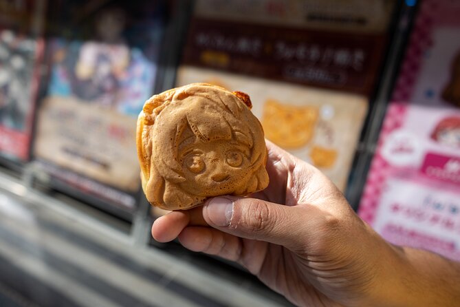 Private Custom Akihabara Tour - Memorable Moments
