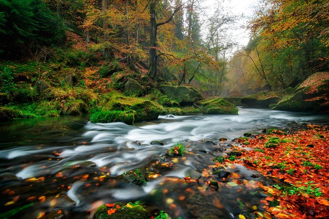 Private Custom Full Day Tour - Top Highlights of Bohemian & Saxon Switzerland - River Cruise Through Kamenice Gorge
