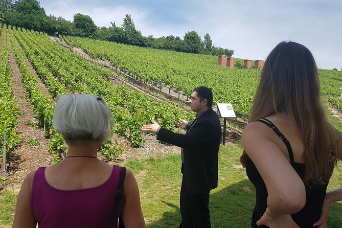 Private Day Tour in Champagne - Exploring the Champagne Region