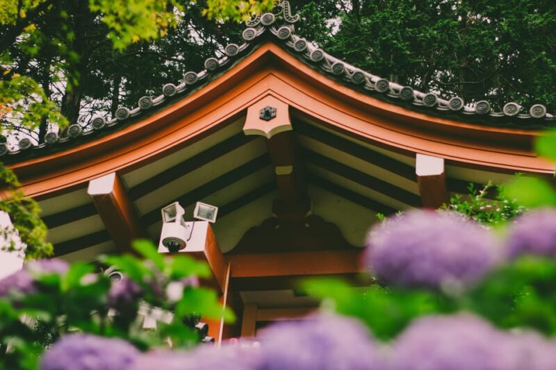 Private Day Tour in Kyoto & Uji: Delightful Shrine & Matcha - Transportation and Amenities