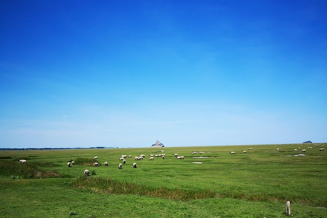 Private Day Tour of Mont Saint-Michel From Bayeux - Optional Visits to Surrounding Attractions