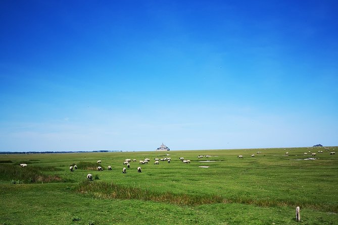 Private Day Tour of Mont Saint-Michel From Caen - Personalized Experiences