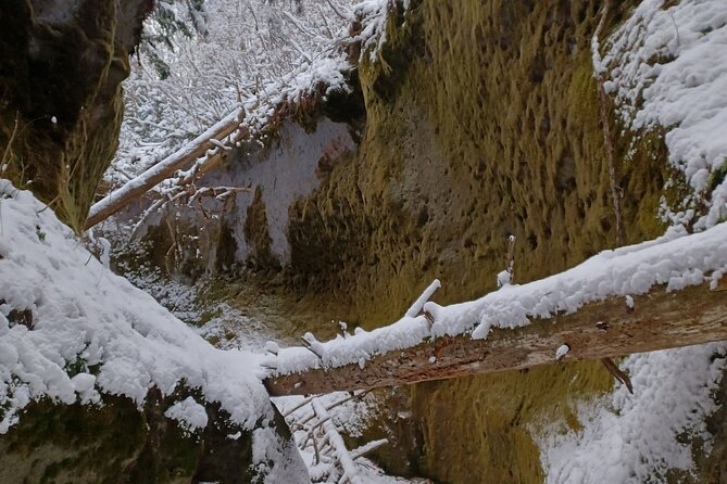 Private Day Trip of Lake Shikotsu and Moss Canyon - Cancellation Policy and Additional Information