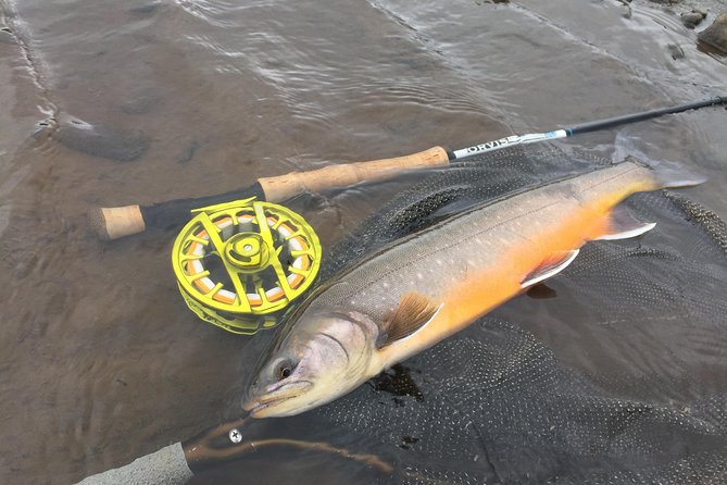 Private Fishing Tour From Reykjavik - Arctic Char and Brown Trout - Included in the Tour