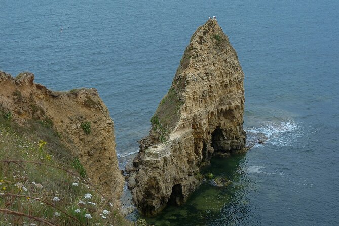 Private Full Day Landing Beaches Tour From Honfleur and Le Havre - Pricing and Cancellation Policy