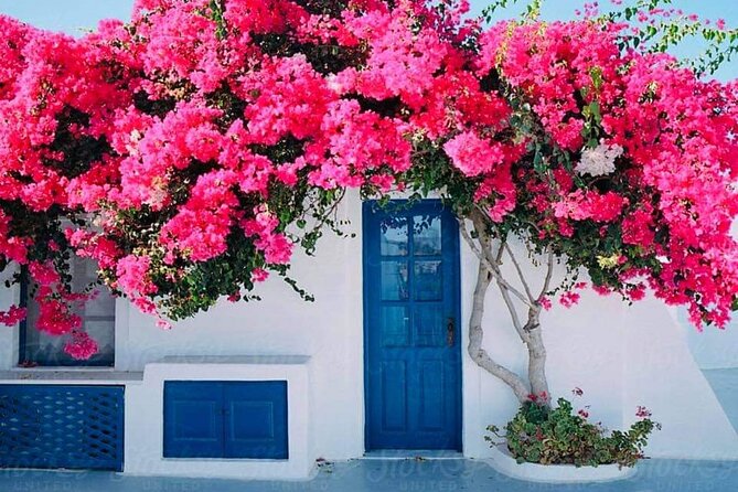 Private Full Day Rhodes Island Tour With Wine Tasting Experience - Customer Experiences: What Travelers Are Saying