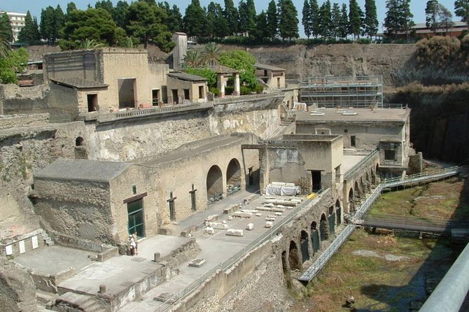 Private Full-Day Tour Sorrento, Positano, and Pompeii - Customer Reviews and Feedback