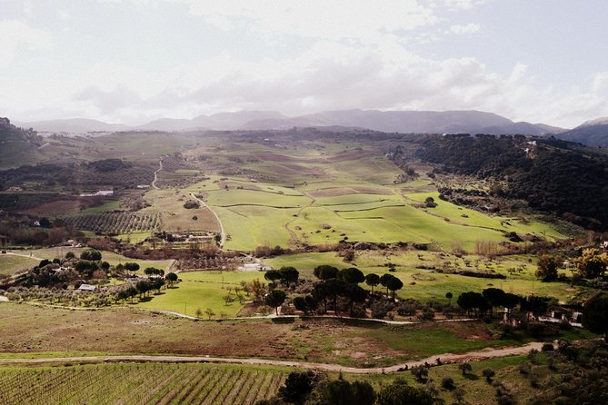 Private Guided Day Trip to the White Villages and Ronda From Seville - Recommendations for Local Experiences