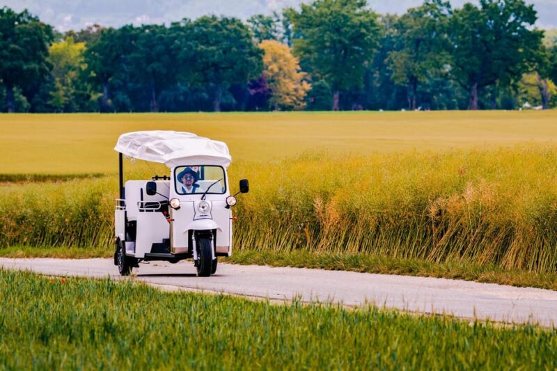 Private Highlights Top Places Tour Electric TukTuk 1h15 - Reformation Wall