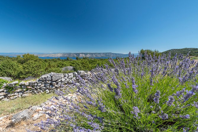 Private Hvar Wine Tasting Tour - Traveler Feedback