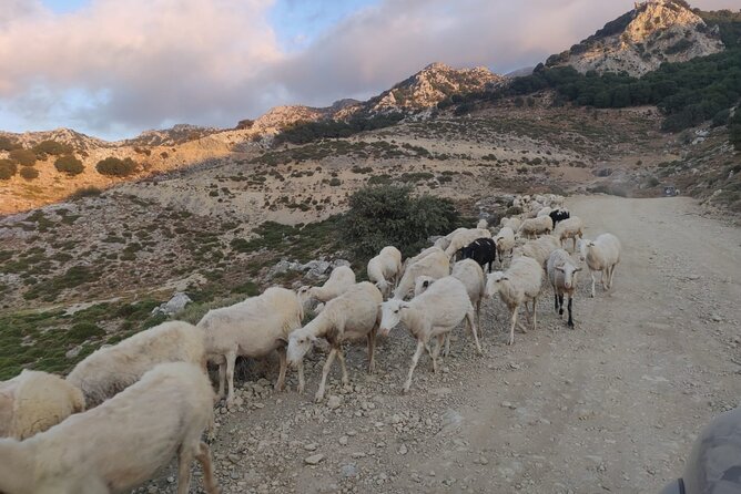 PRIVATE Jeep Safari 4x4 SUNSET With Dinner in Mountains CRETE - Customer Reviews and Experiences