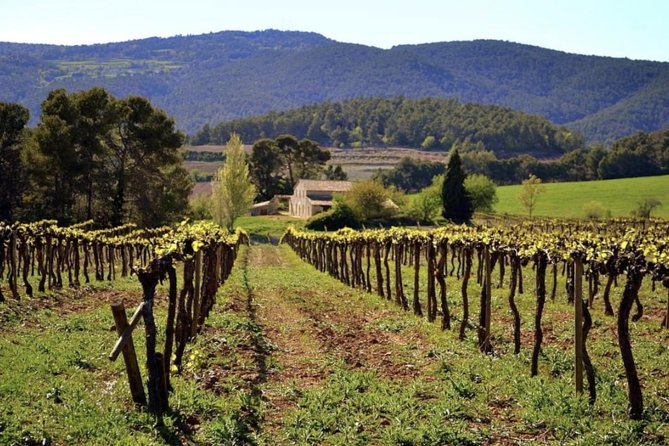 Private Montserrat Tour, Organic Winery & Authentic Local Lunch - The Significance of Early Access and Crowd Management