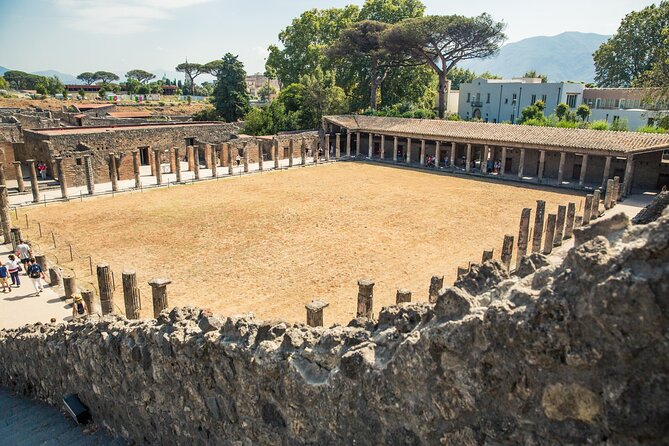 Private Pompeii & Mt. Vesuvius Tour From Sorrento - Recommendations for the Tour