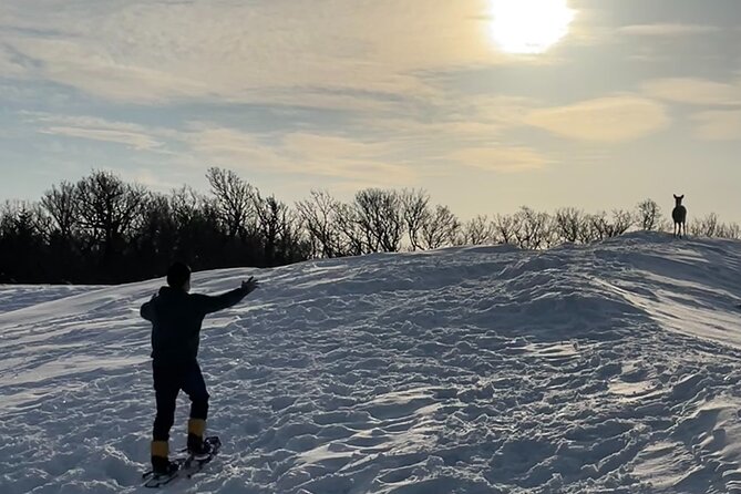 Private Snow Shoe Tour in Shiretoko National Park - Exploring the Winter Wonderland