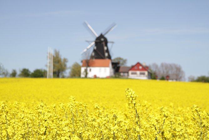 Private Tour Copenhagen to Lund & Malmö City Daytrip - Recommendations and Advice