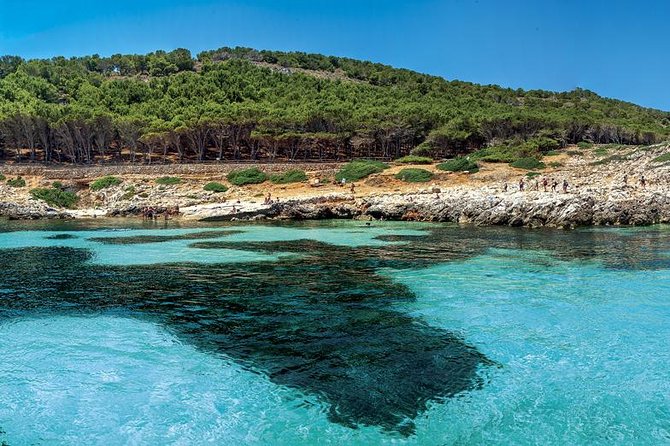 Private Tour Half Day Boat Trip in Favignana From Trapani - Cancellation and Refund Policy