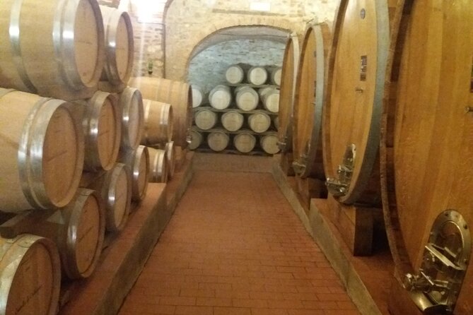 Private Tour in San Gimignano and Chianti Day Trip From Florence - Tips for a Memorable Experience