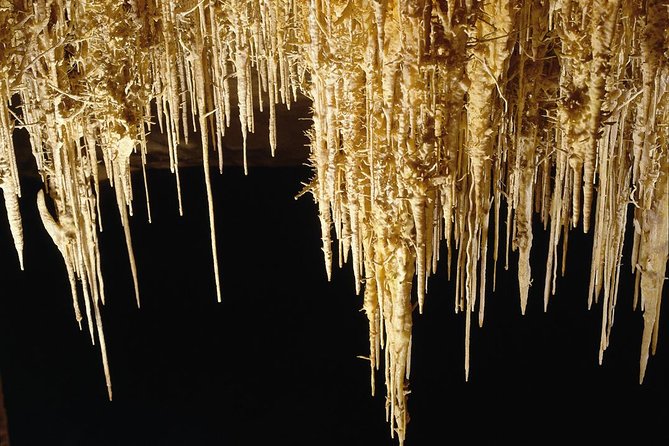 Private Tour: Mallorca Caves of Drach and Majorica Pearl Factory - Discovering the Caves of Drach