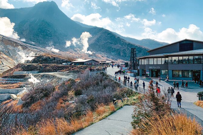 Private Tour to Mt Fuji and Hakone With English Speaking Driver - Customer Reviews and Feedback
