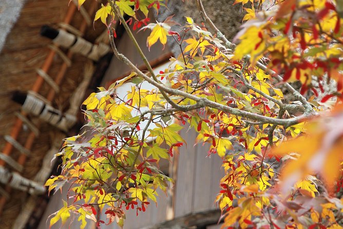 Private Transfer Kanazawa to Takayama Including Shirakawago - Traveler Reviews and Recommendations