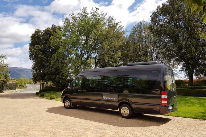 Private Transfer Madrid Barajas Airport to Madrid in Vans up to 7 Passengers - Trusted Service Timeframe
