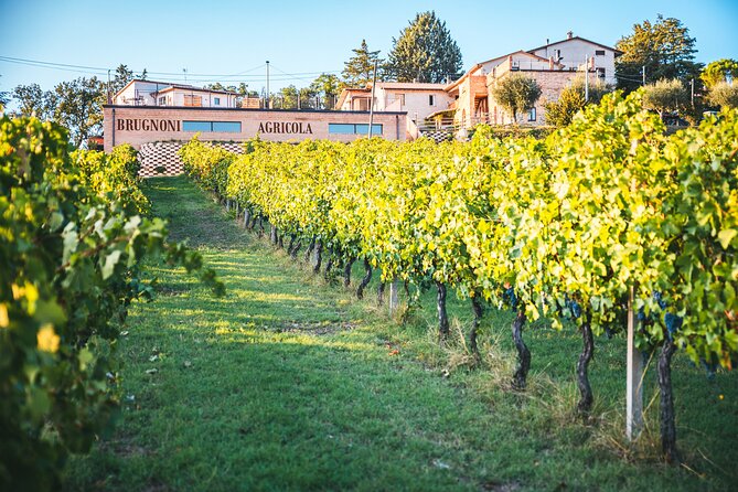 Private Visit to the Brugnoni Winery With Tasting of 4 Wines - The Typical Products Platter