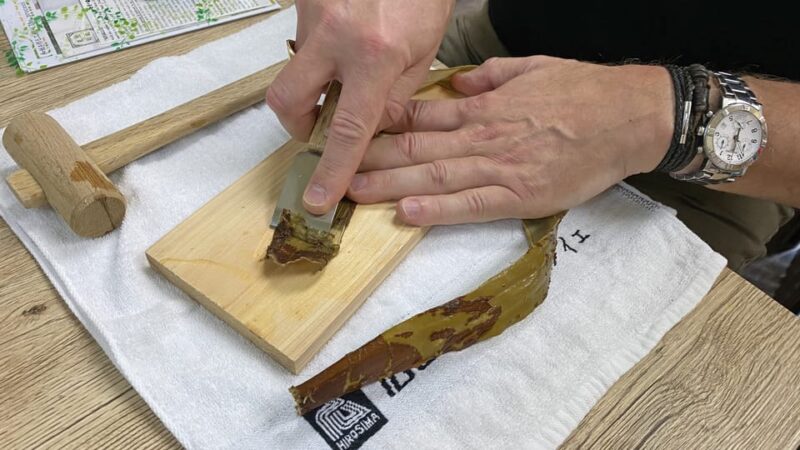 Private Workshop for Making Paper Last 1,000 Years in Ueno - Traditional Papermaking Techniques