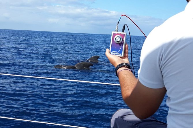Private Yacht Tour With Whale and Dolphin Watching 33 Foot Boat - Exploring the Southwest Coast