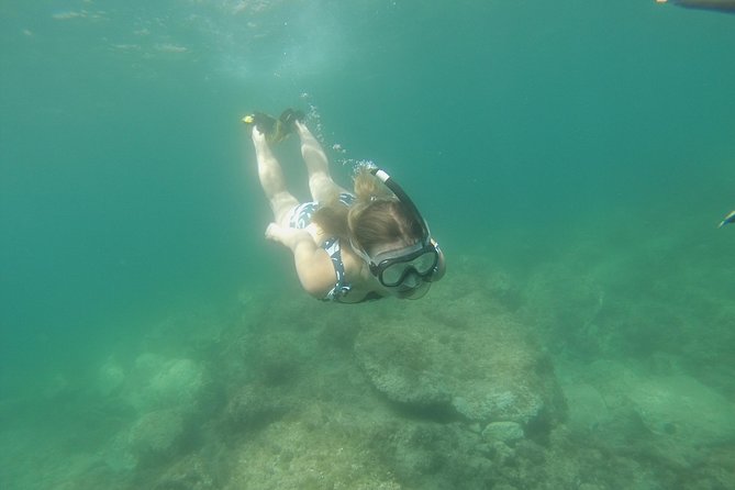 Rando-Palmée Getaway Around an Island - Choosing the Ideal Snorkeling Spots