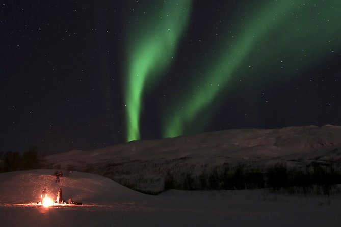Reindeer Feeding & Saami Culture With Chance for Northern Lights - Positive Feedback From Participants