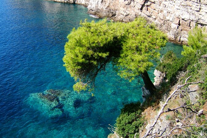 Rent a Boat! (Group Option - Half Day) - Highlights and Experiences