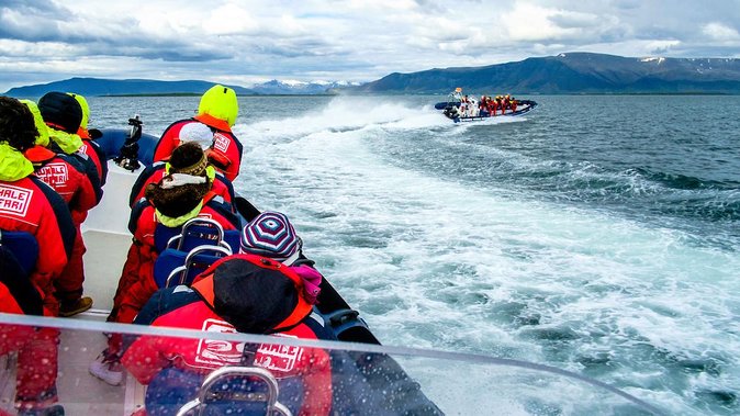 Reykjavik Premium Puffin Tour | Close up and Personal - Booking and Logistics