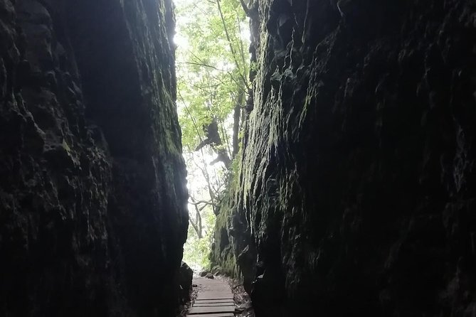 Ribeiro Frio - Portela - Guided Walk Experience