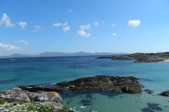 Ring of Kerry and Skellig Ring Tour Review - Why Choose This Tour?