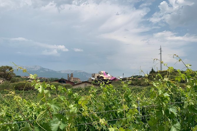 Rioja Alavesa Wineries and Medieval Villages Day Trip - Positive Traveler Reviews and Recommendations