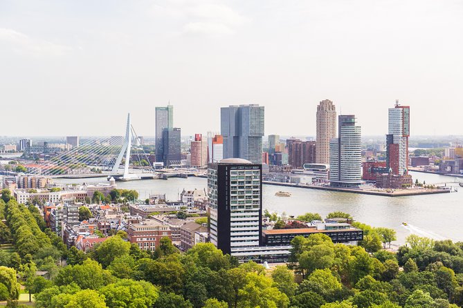 Rotterdam, Delft, the Hague, Madurodam From Amsterdam - Traveler Feedback