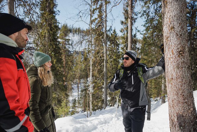 Rovaniemi - Visit to The Frozen Waterfalls of Korouoma - Traveler Experiences and Feedback