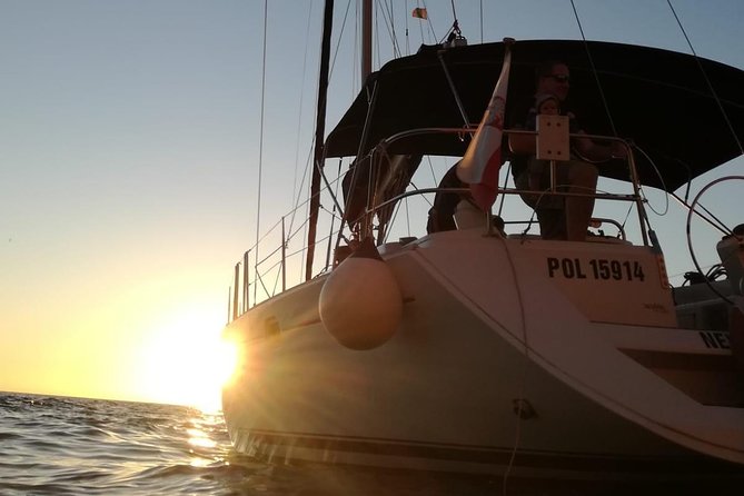 Sailing Trip and Snorkeling at Puerto De Mogan - Exploring Marine Wildlife