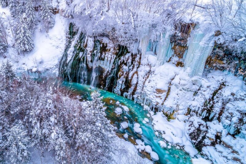 Sapporo: Asahiyama Zoo and Shirahige Falls Trip With Ticket - Photo Stops