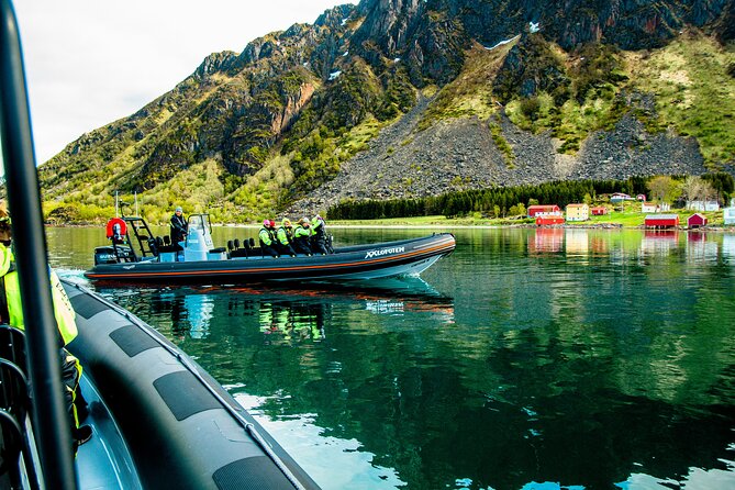 Sea Eagle Safari From Svolvær to Trollfjorden - Exploring the Customer Reviews