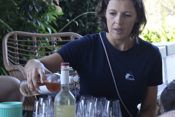 Shared Tour - Wine Tour From Saint Tropez - Highlights of the Tour