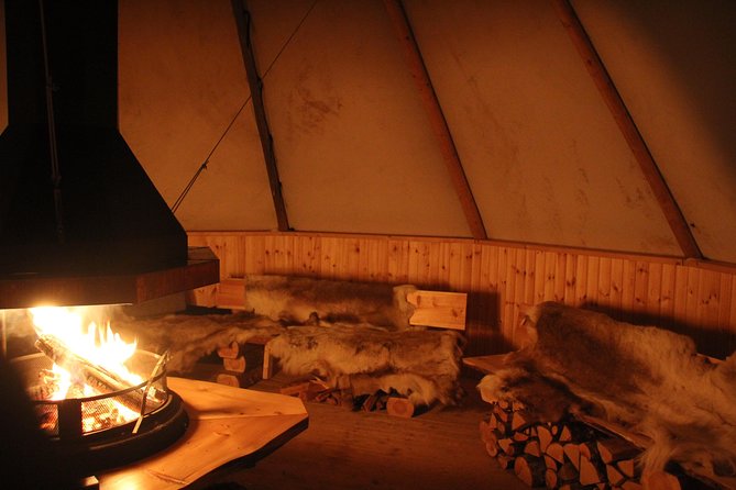 Sleigh Ride W/ Snacks - Experience Arctic Farm Life - Experiencing the Hospitality of Omdal Gard