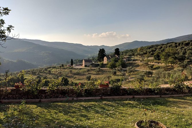 Small Group Chianti Wine Tasting With Seven Tuscan Wines - Guide Expertise and Engagement
