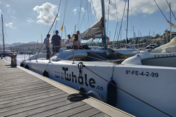 Small Group Dolphin Sunset Tour Review - Accessibility and Logistics