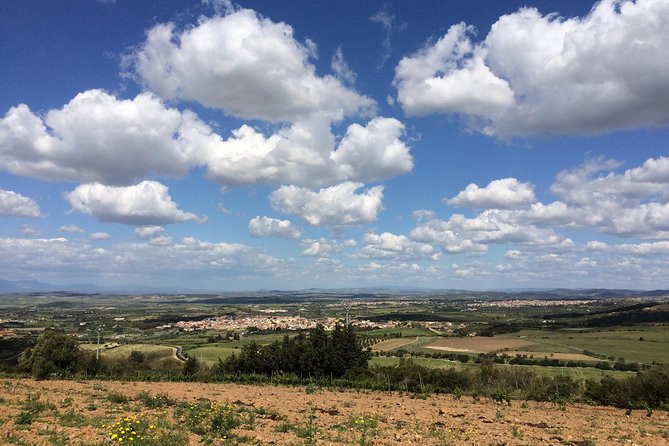 Small-Group Food and Wine Tour From Cagliari - Connecting With Local Hospitality